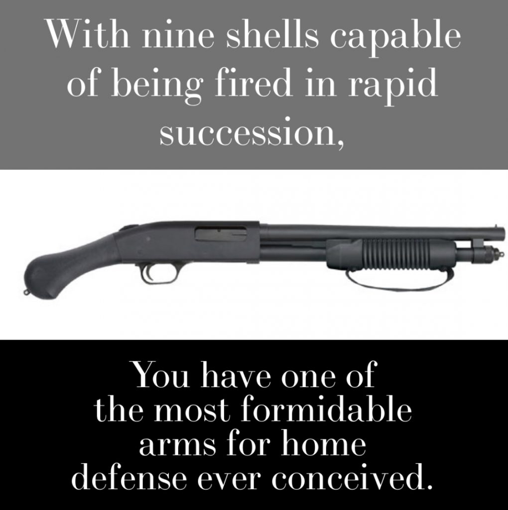 What is a Shorty Shotshell - Shockwave Technologies